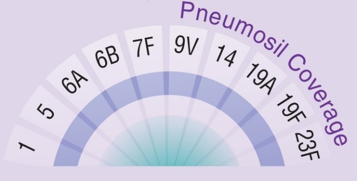 Pneumococcal Disease - Avin Darou